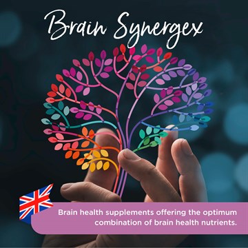 Brain Synergex® – 28-Day Supply – Maintains Brain Function