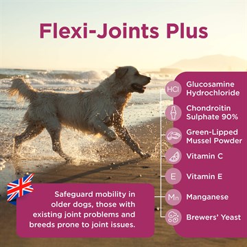 Flexi-Joints Plus