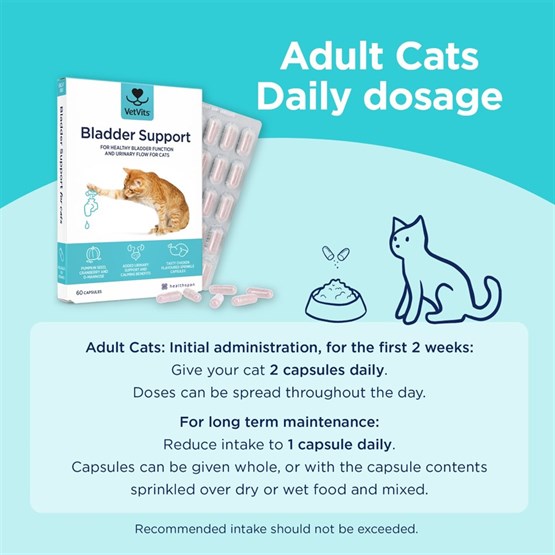Bladder Support for Cats
