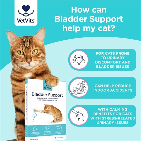 Bladder Support for Cats