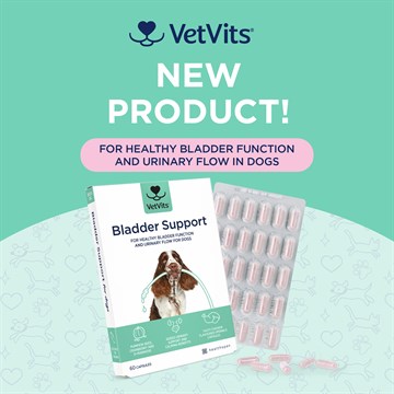 Bladder Support for Dogs